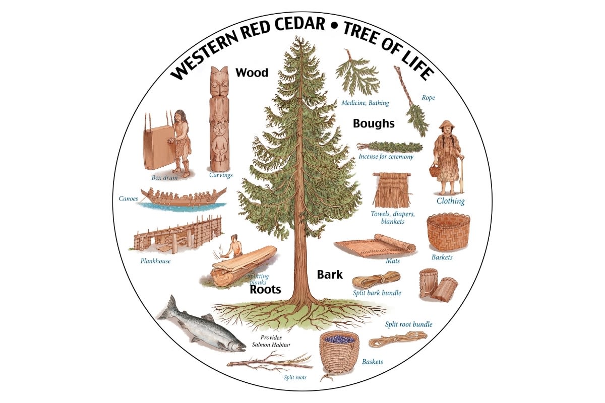 Columbia River Maritime’s Cedar and Sea Exhibit Celebrates the ...