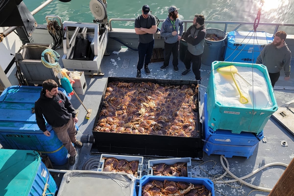 Oregon Dungeness Crab: A Delicious and Healthy Way to Nourish Your Body ...