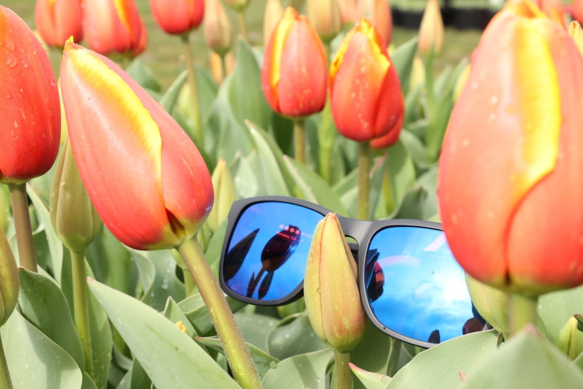 Revel in the Rainbow: Color-Blindness-Correcting Glasses Debut at ...