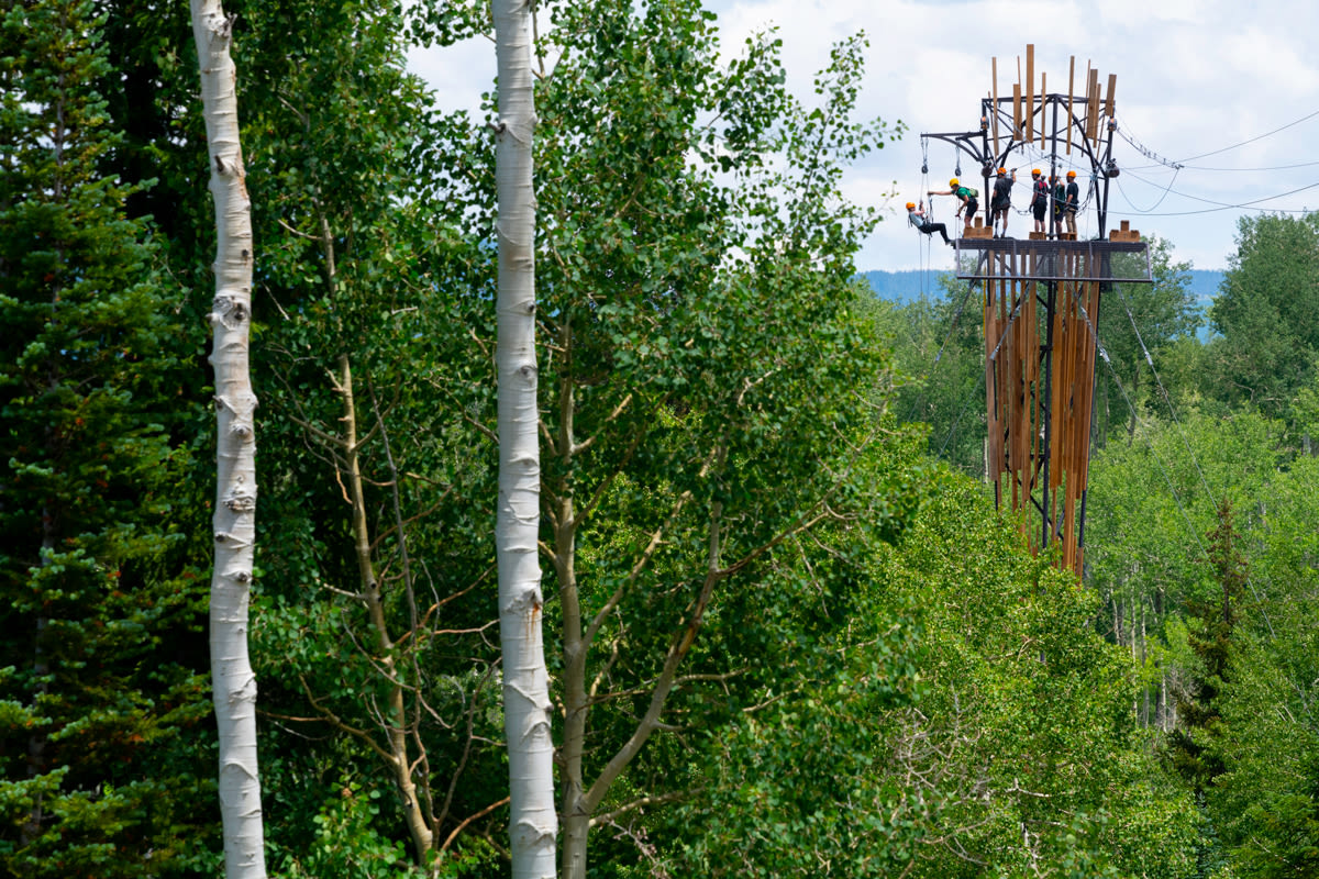 Lost Forest at Snowmass | Aspen Sojourner