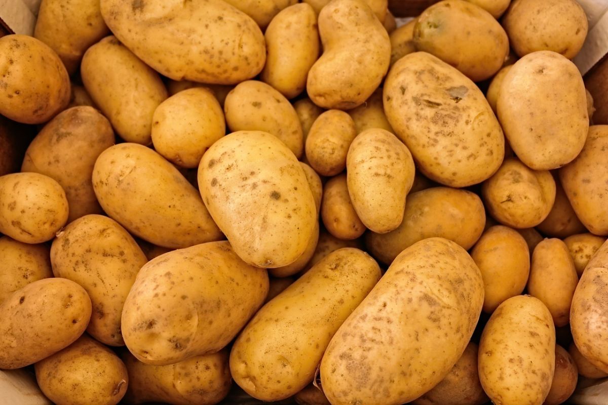 March 31 is National Tater Day | Houstonia Magazine