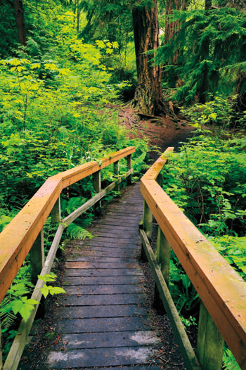 Seattle's Best City Parks | Seattle Met