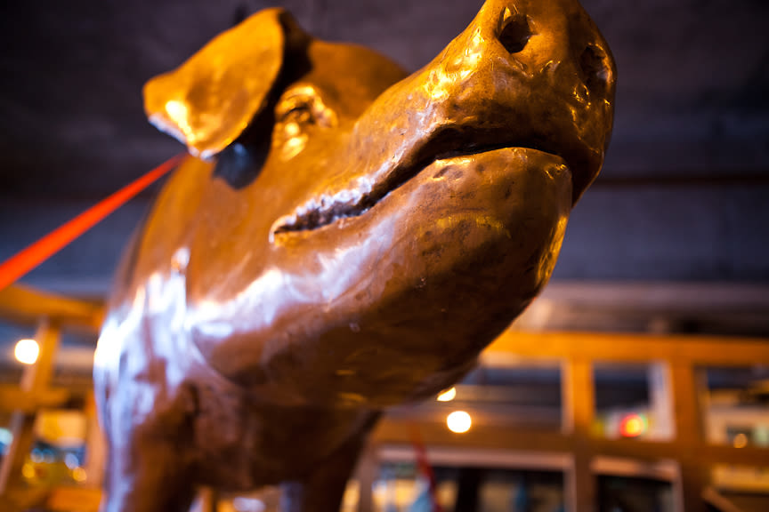 Slide Show: Rachel the Pig Returns to Pike Place Market | Seattle Met