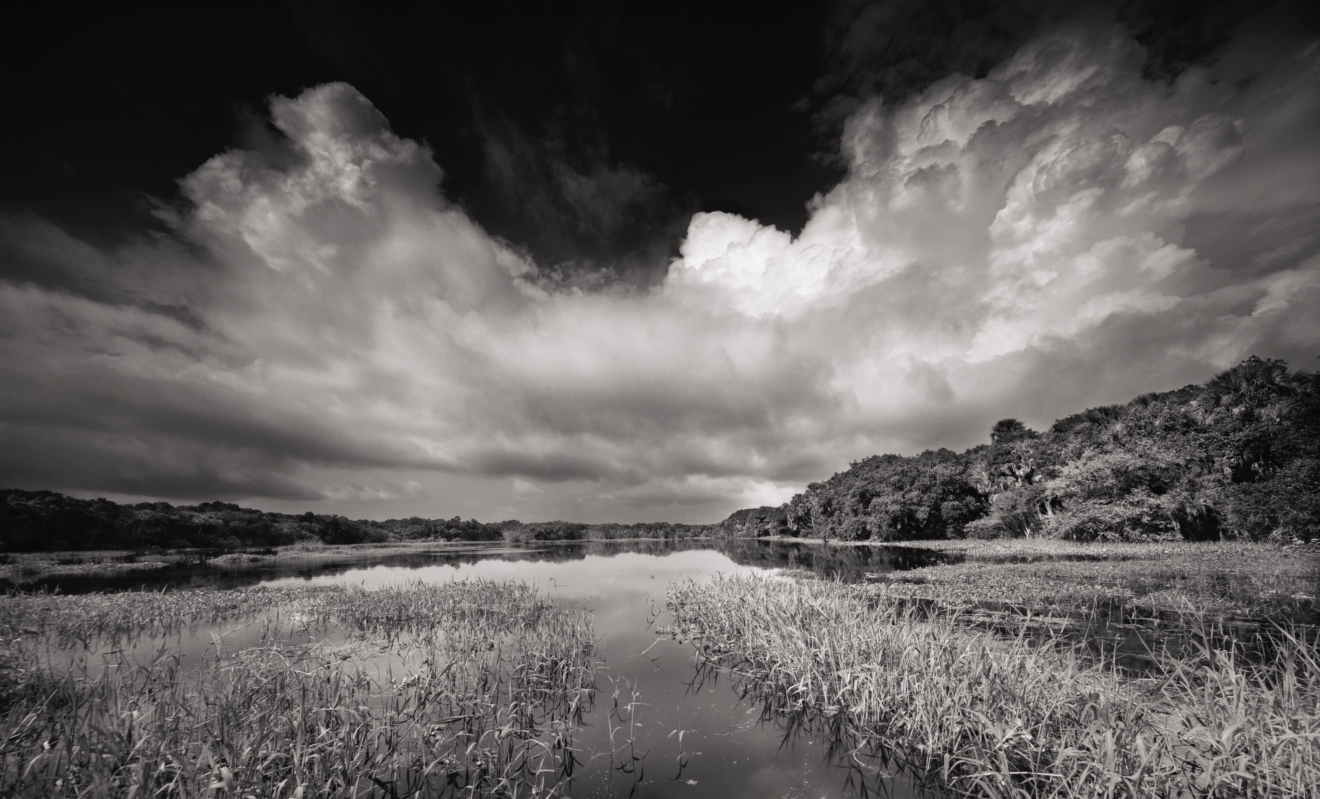 Florida Artists Hall of Fame Photographer Clyde Butcher Opens New ...