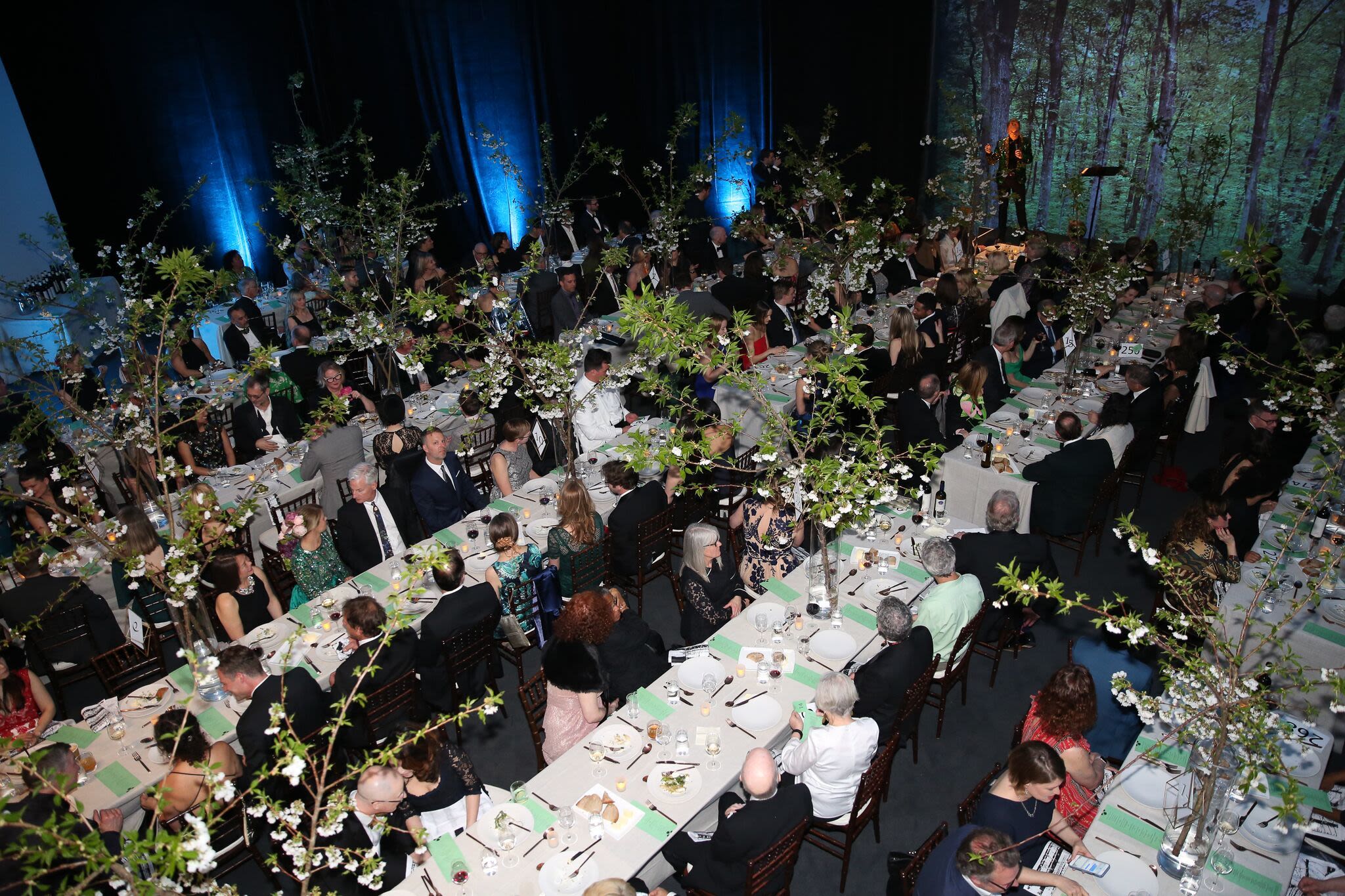 Henry Art Gallery Gala | Seattle Met