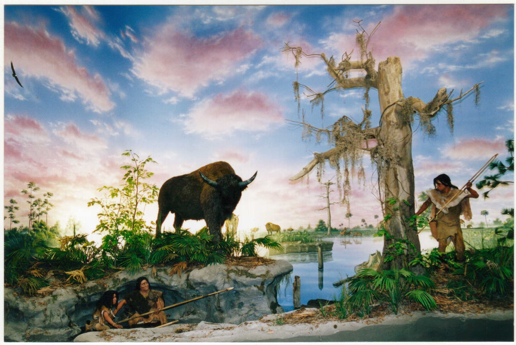 South Florida Museum and Bishop Planetarium | Activities | Sarasota ...