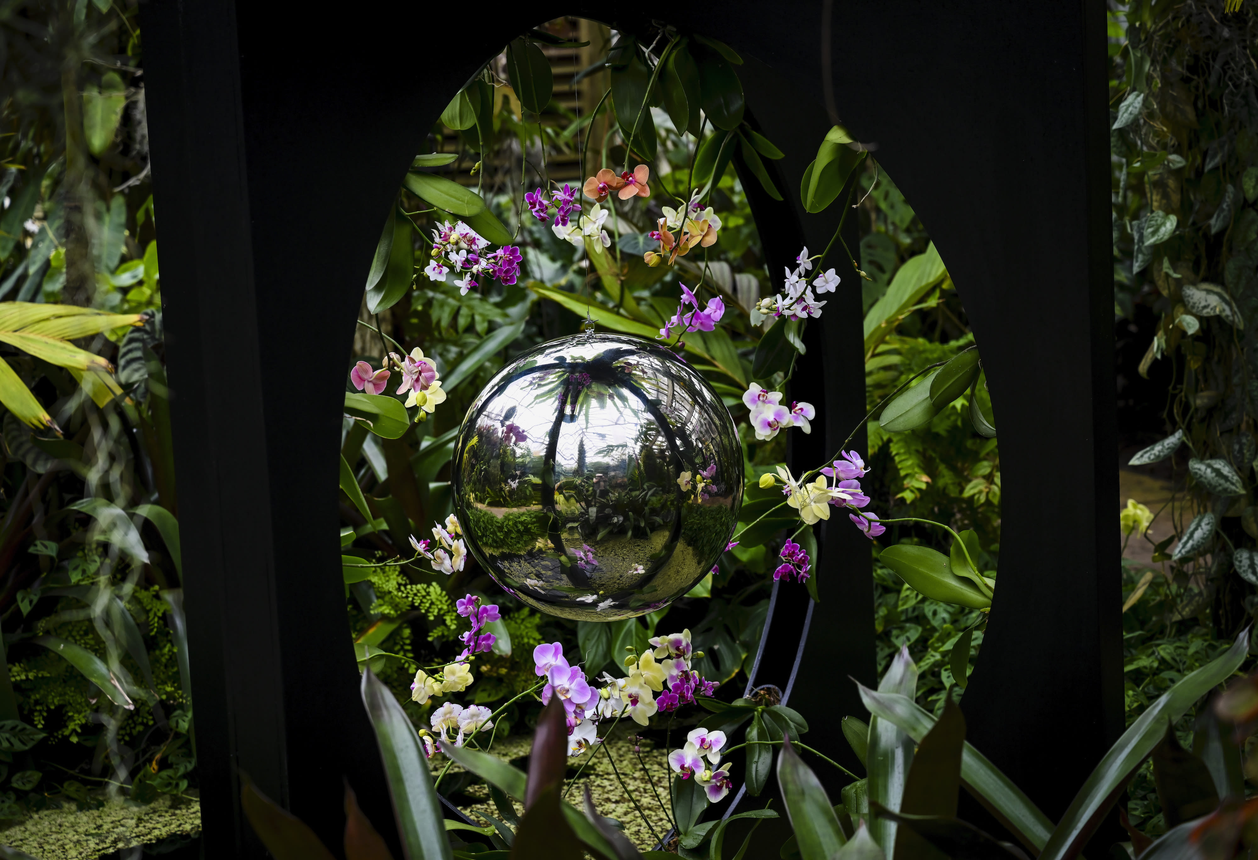 “The Orchid Show 2022” Celebrates Beauty and Diversity of Orchids ...