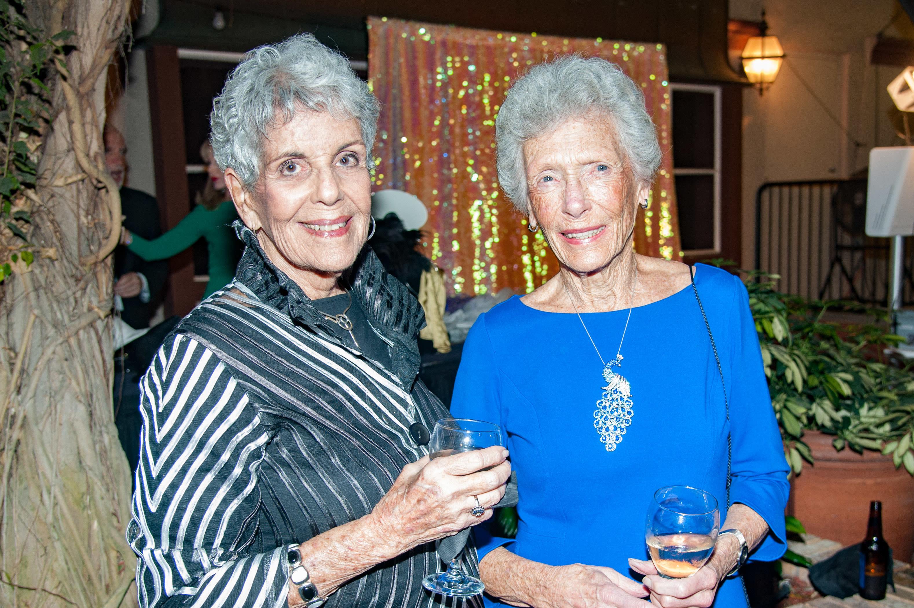 ARC 20th Anniversary Gala | Sarasota Magazine