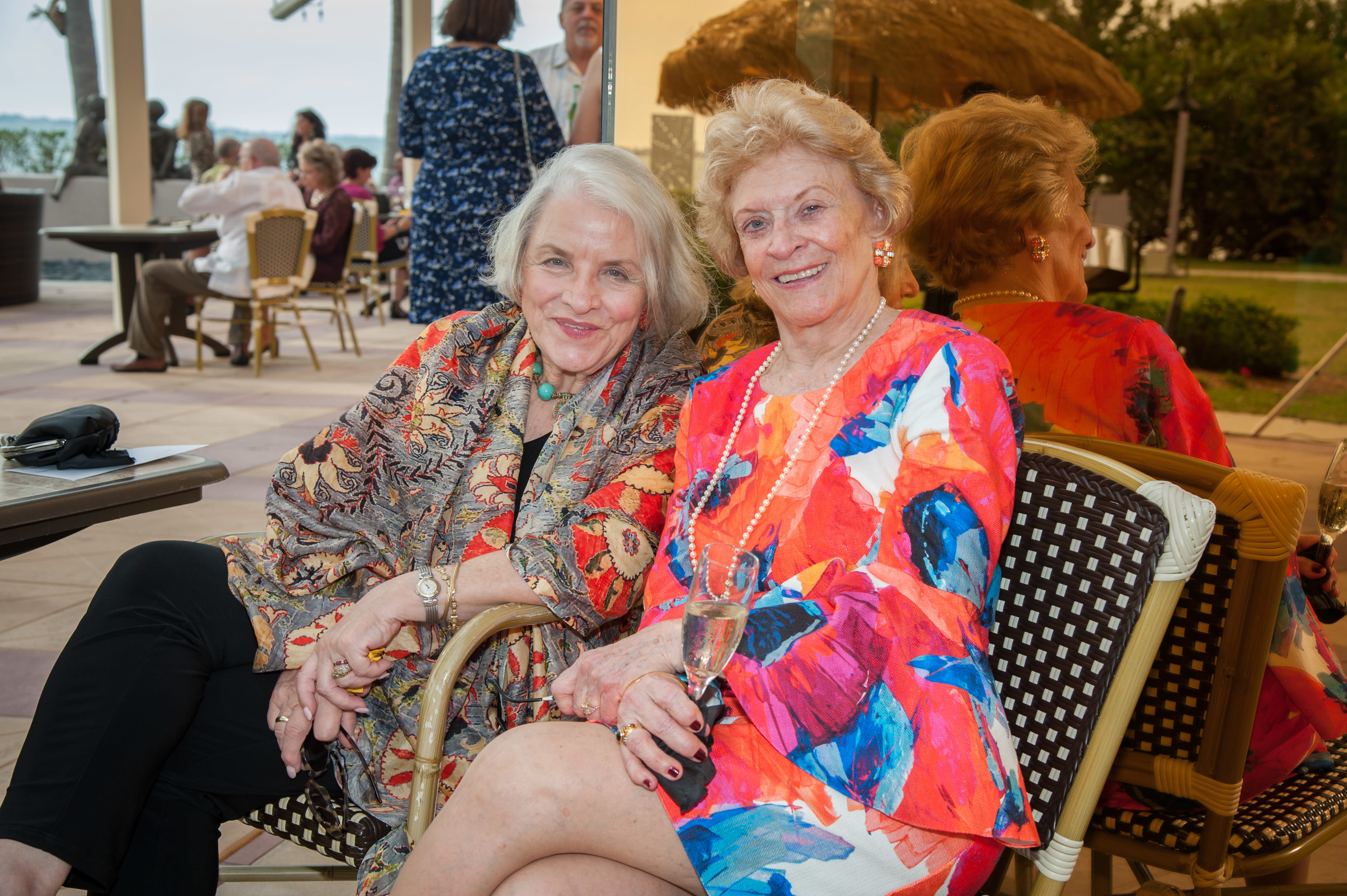 The Lion King Premiere Evening | Sarasota Magazine