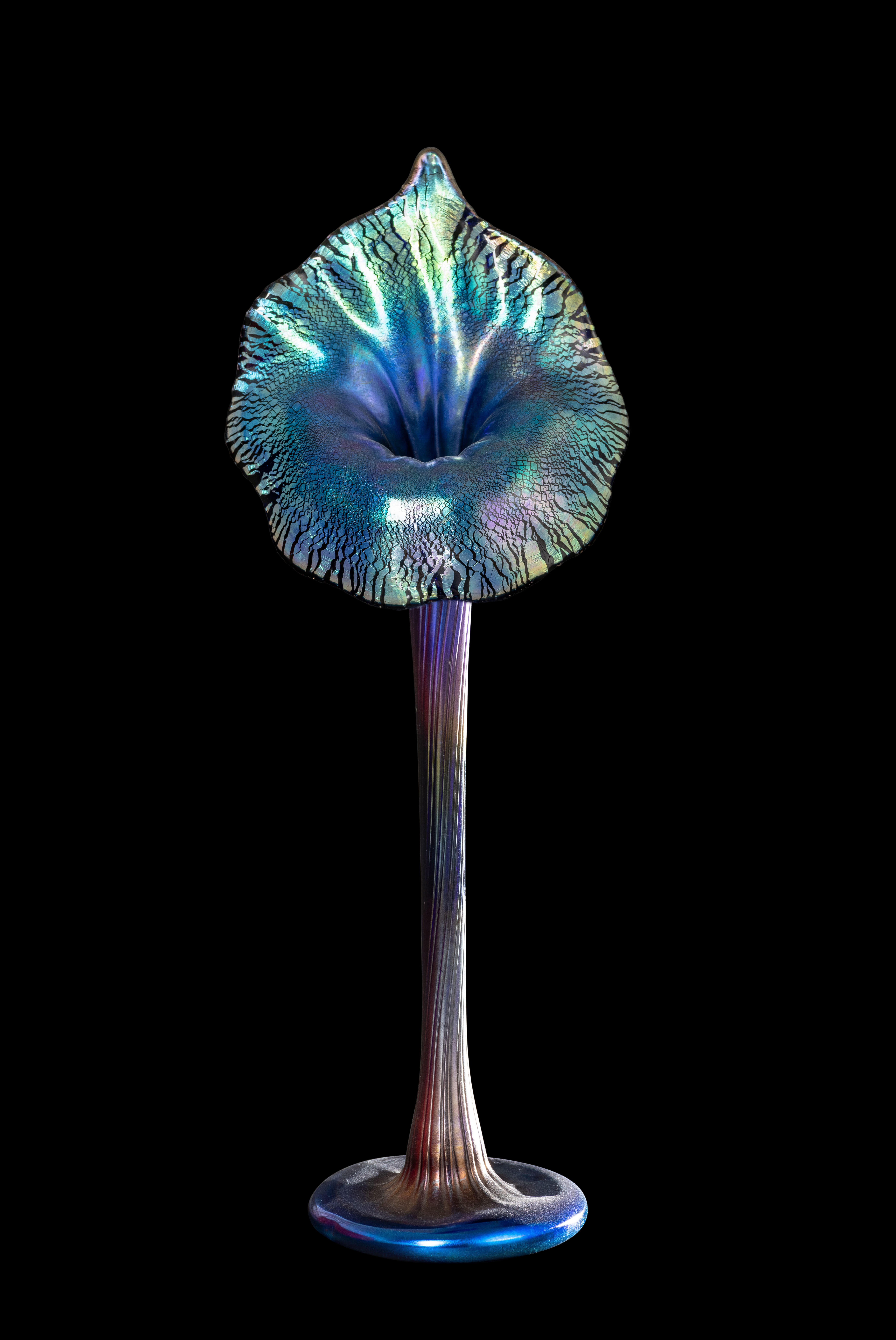 Selby Gardens To Showcase Tiffany’s Creativity and Innovation ...