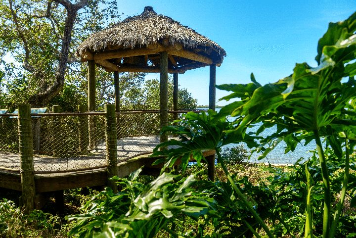 Historic Spanish Point | Activities | Sarasota Magazine