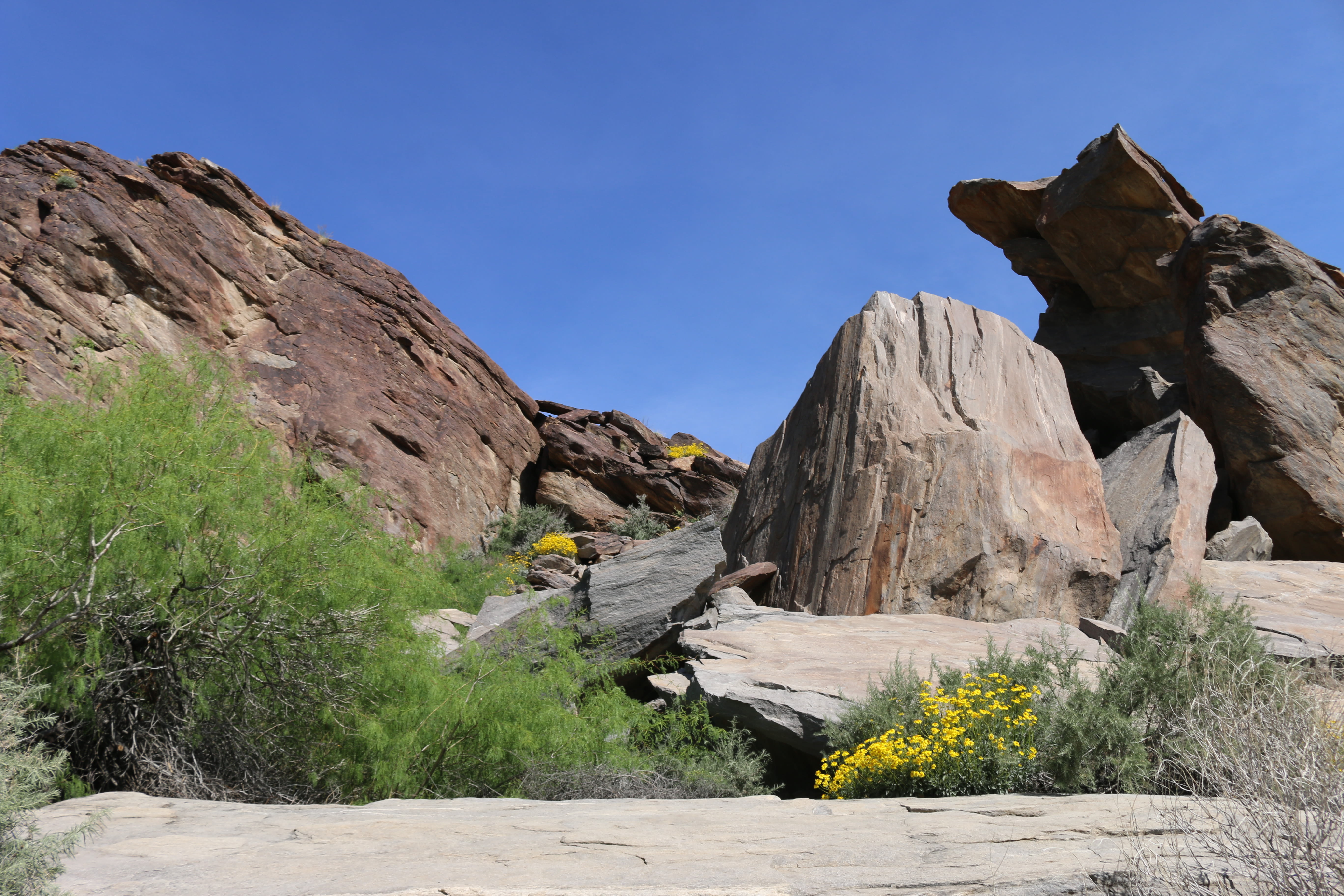 Journey Through the Indian Canyons in Palm Springs | Seattle Met