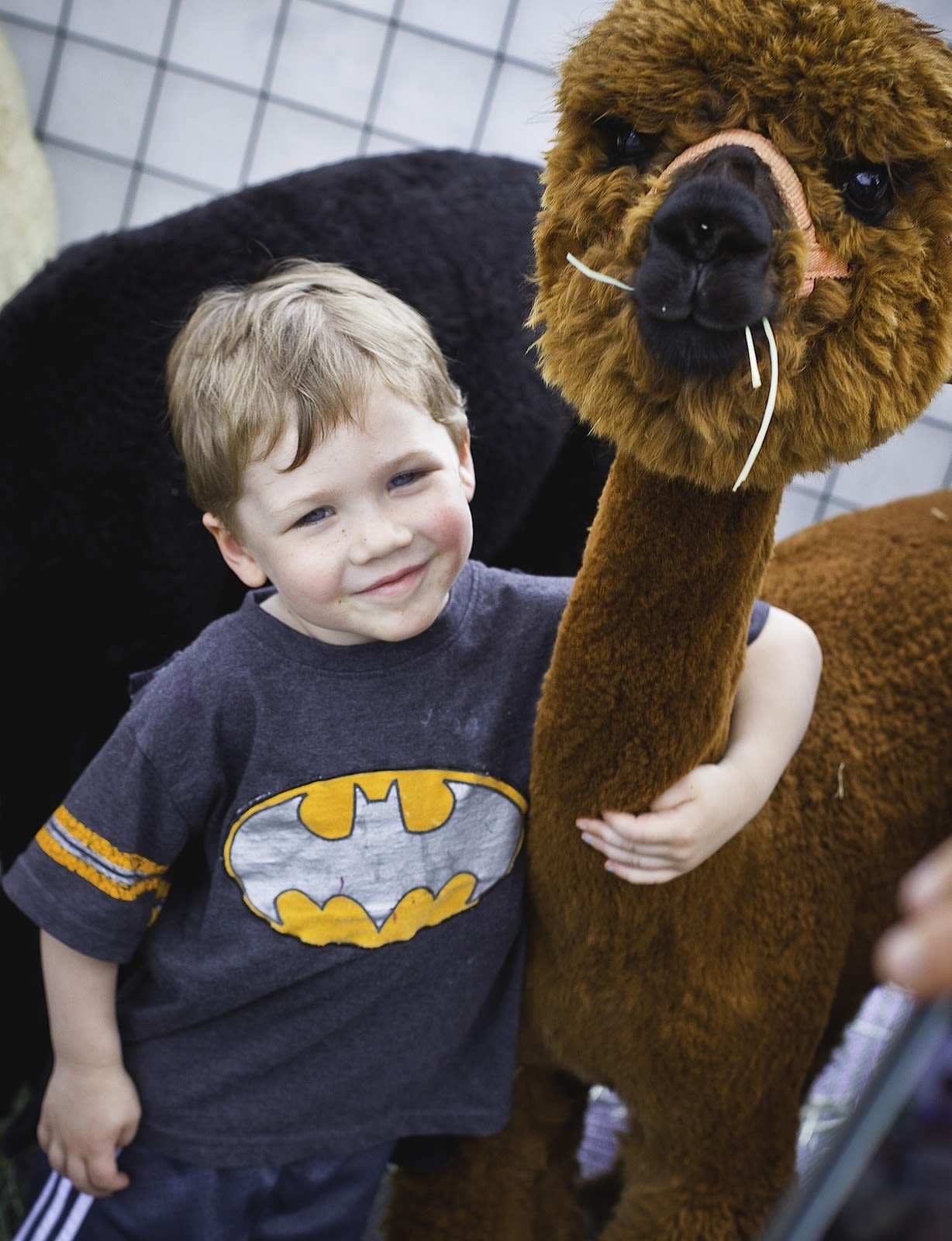 Slide Show: Ice Cream-O-Rama | Seattle Met