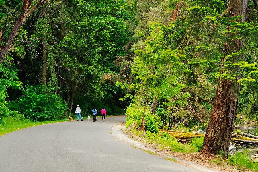 Seattle's Best City Parks | Seattle Met
