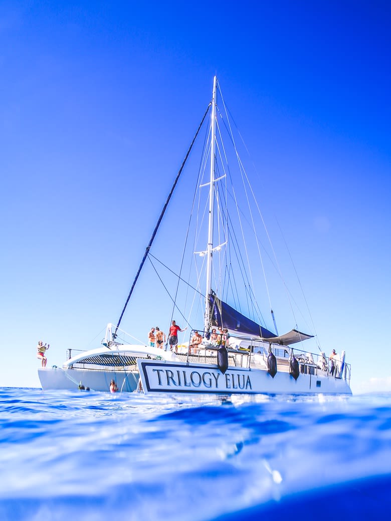 Our Story - Trilogy Excursions, Family Owned & Operated