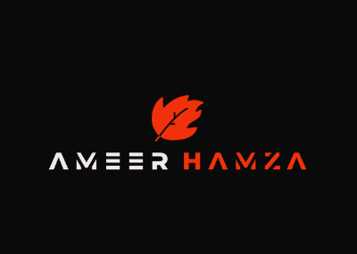 MALIK HAMZA - Become an Instagram Influencer with Blogpost