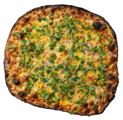 Bar Restaurant Menu - Sally's Apizza