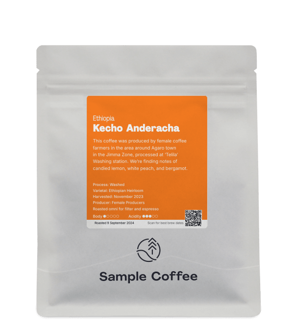Ethiopia Kecho Anderacha - Coffee Deliveries - Sample Coffee Roasters