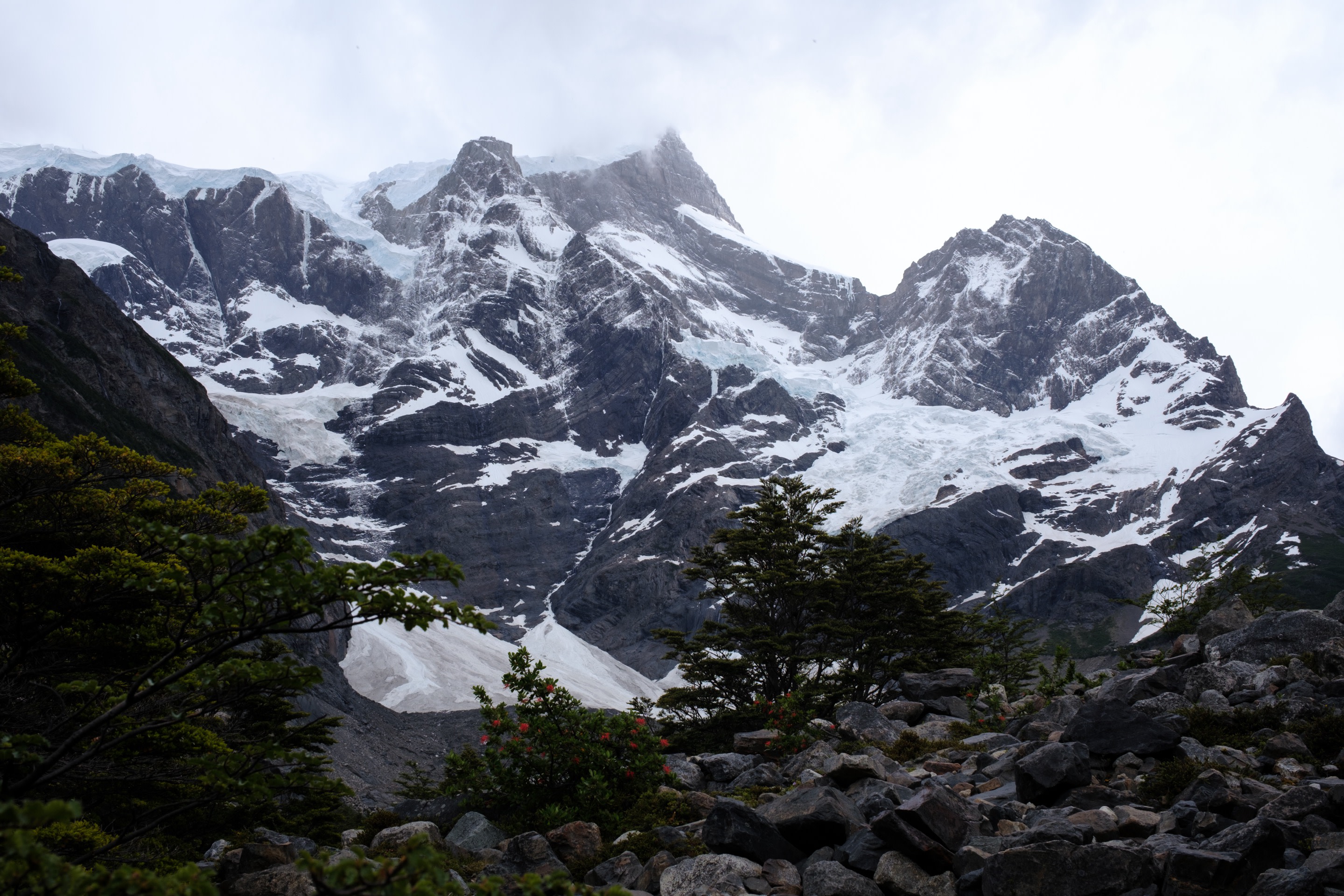 Samuel Yee | Patagonia