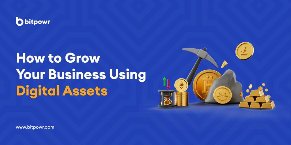 How to Grow Your Business Using Digital Assets - Bitpowr