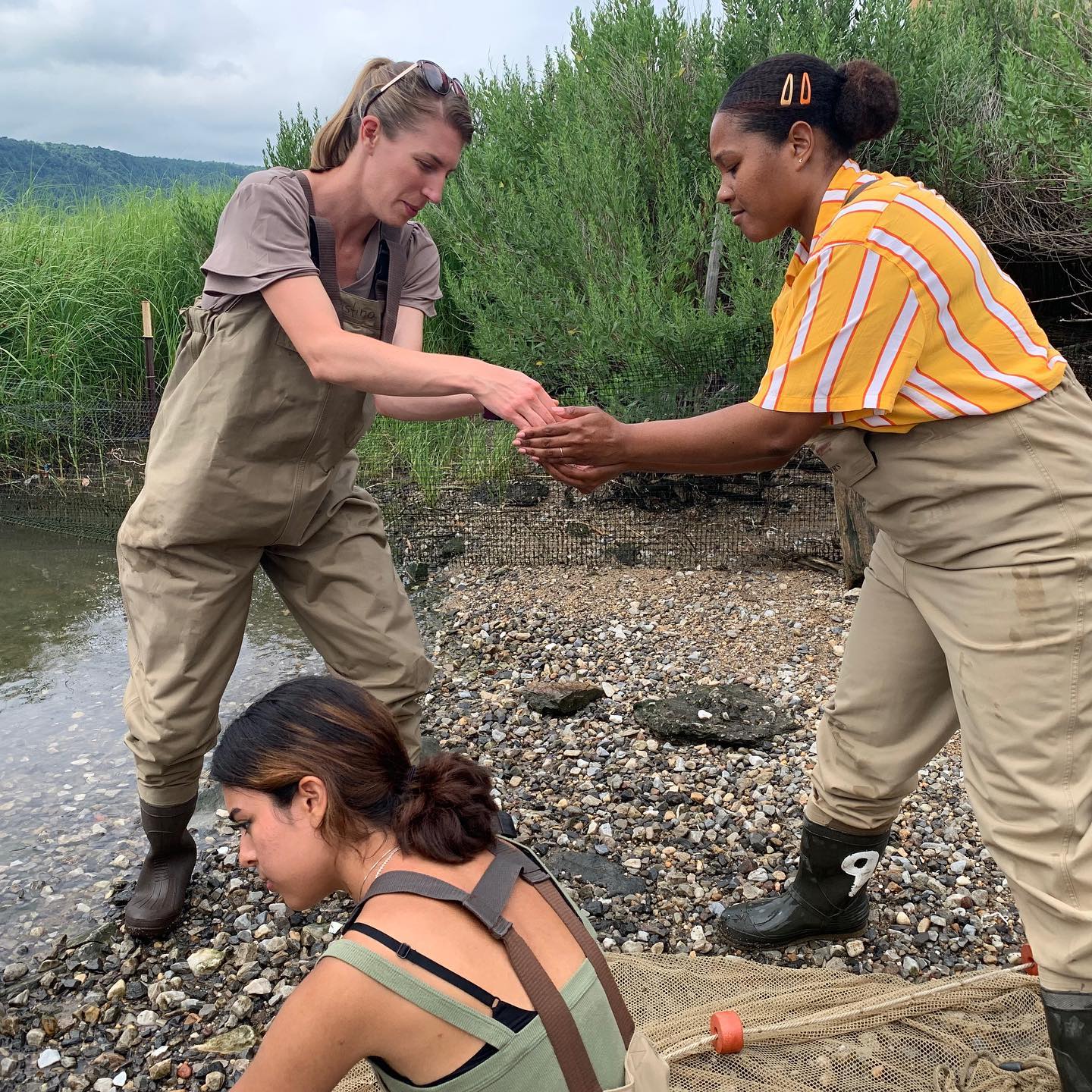 The Child Development Institute | Sarah Lawrence College