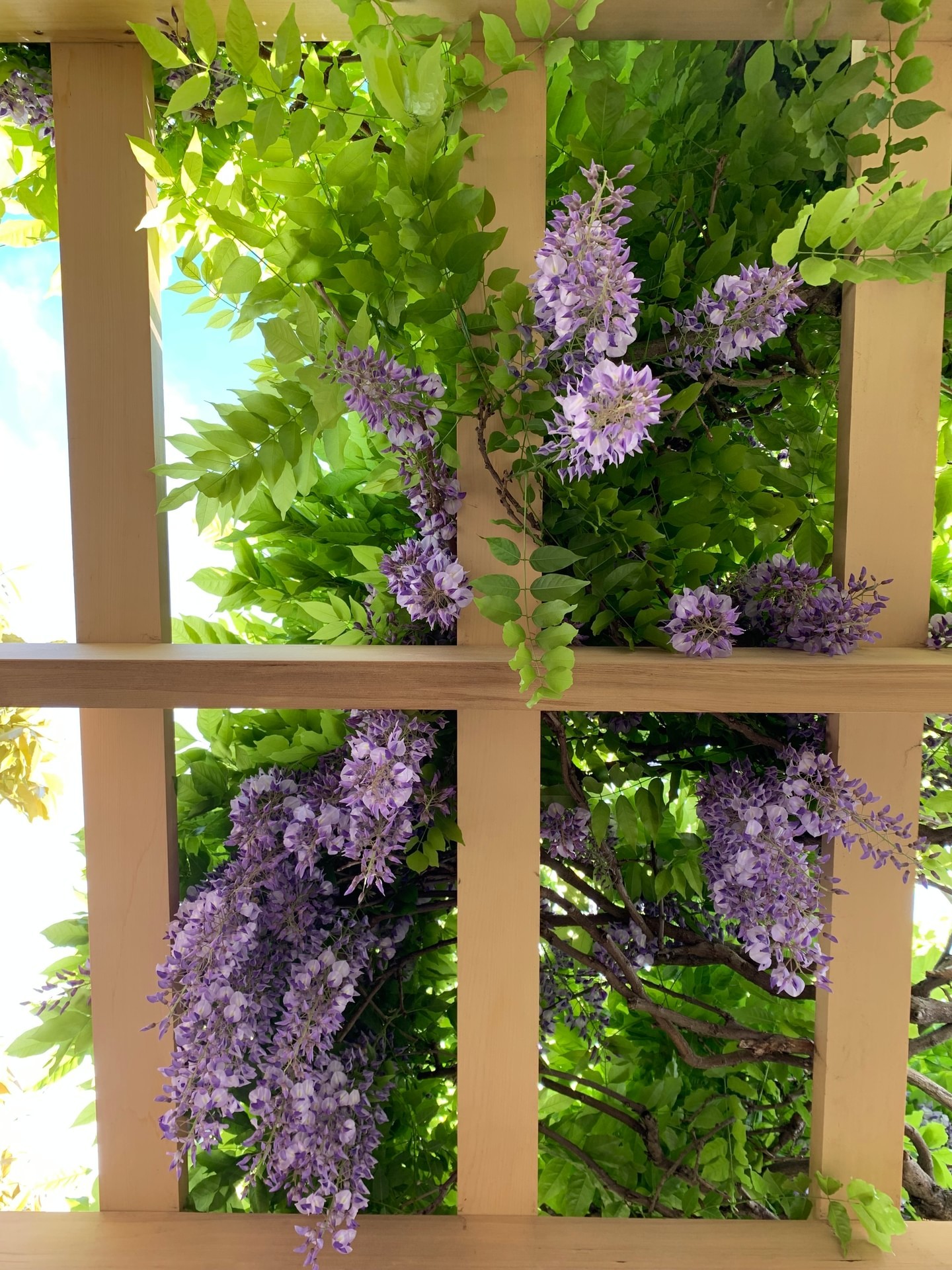 Welcome to Sarah Lawrence College