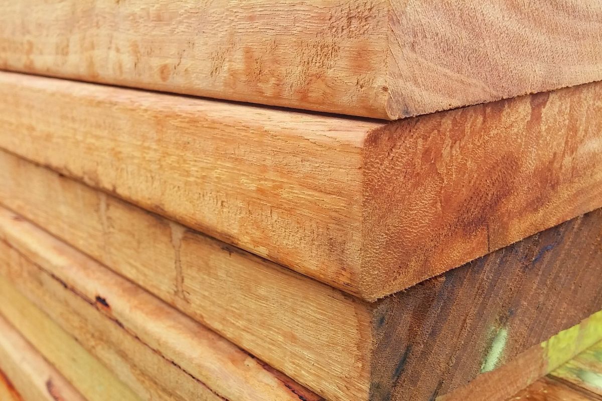 Hurricane Michael's Timber Damage Estimated at $1.3 Billion | Sarasota ...