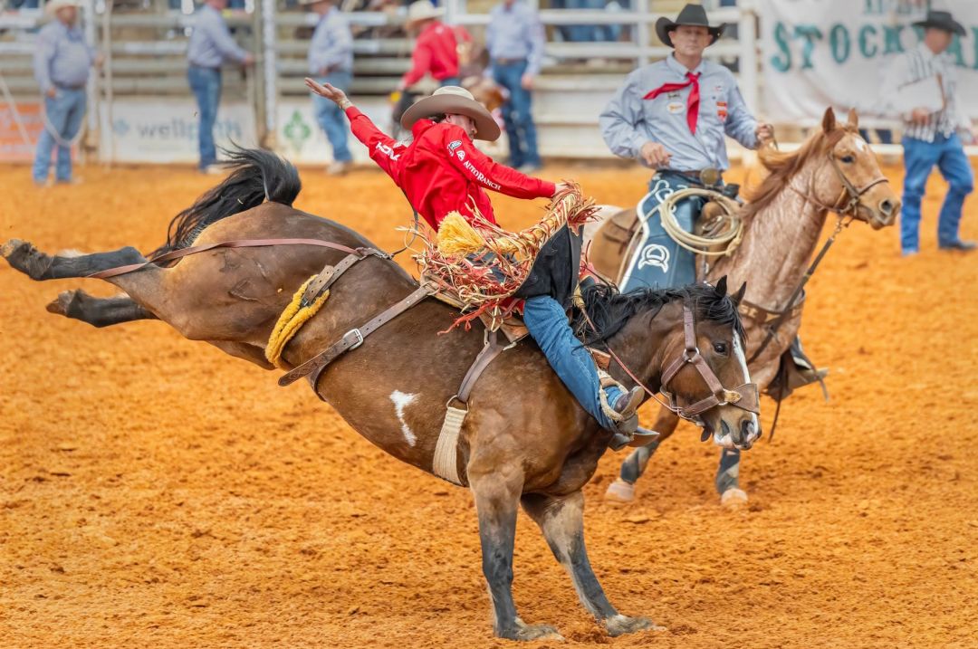 Eight Amazing Pictures From the 98th Annual Arcadia Rodeo | Sarasota ...