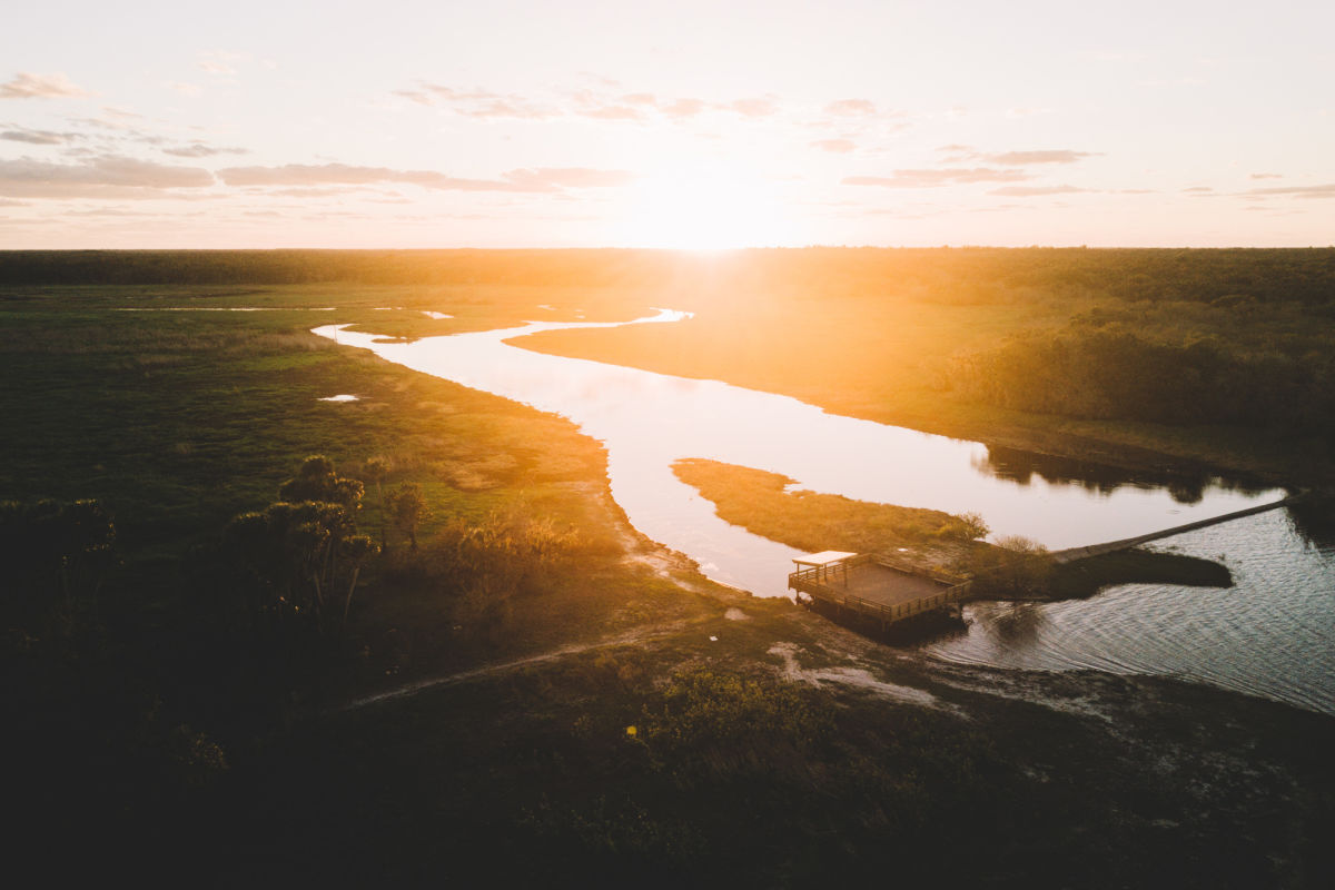 The Ultimate Guide to Myakka River State Park | Sarasota Magazine