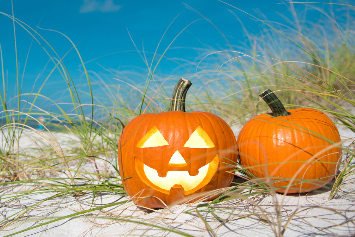 October's Biggest and Best Fall and Halloween Celebrations | Sarasota ...