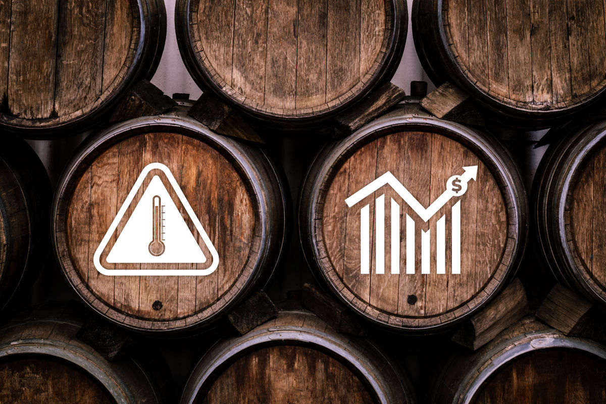 Extreme Heat, Droughts and Inflation Are Hitting Winemakers Hard ...
