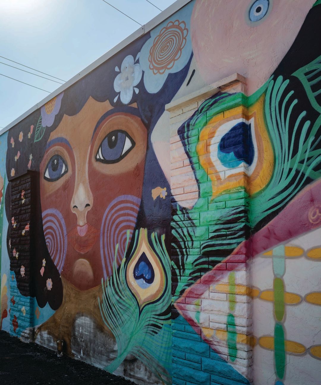 The Limelight District Is the Next Cool Place to Live | Sarasota Magazine