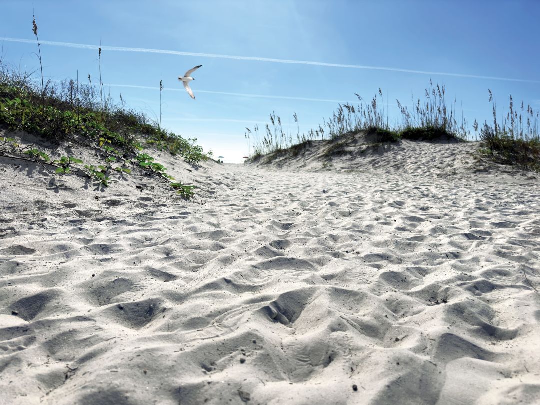 What Does Florida’s New Beach Access Law Mean? | Sarasota Magazine