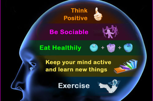 The Key to Happiness Is in Your Brain | Sarasota Magazine