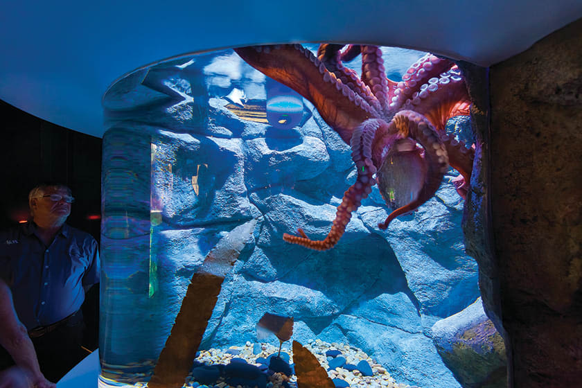 Inside the New Mote SEA | Sarasota Magazine