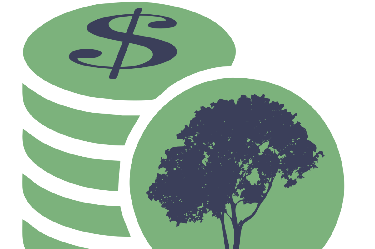 Five Ways You Can Help Protect Forests | Sarasota Magazine