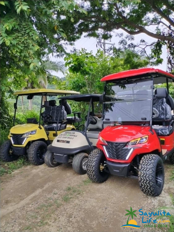 Adventure Golf Carts in Sayulita, Mexico