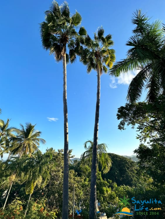 Casita Nopal at Casa Mariposa in Sayulita, Mexico