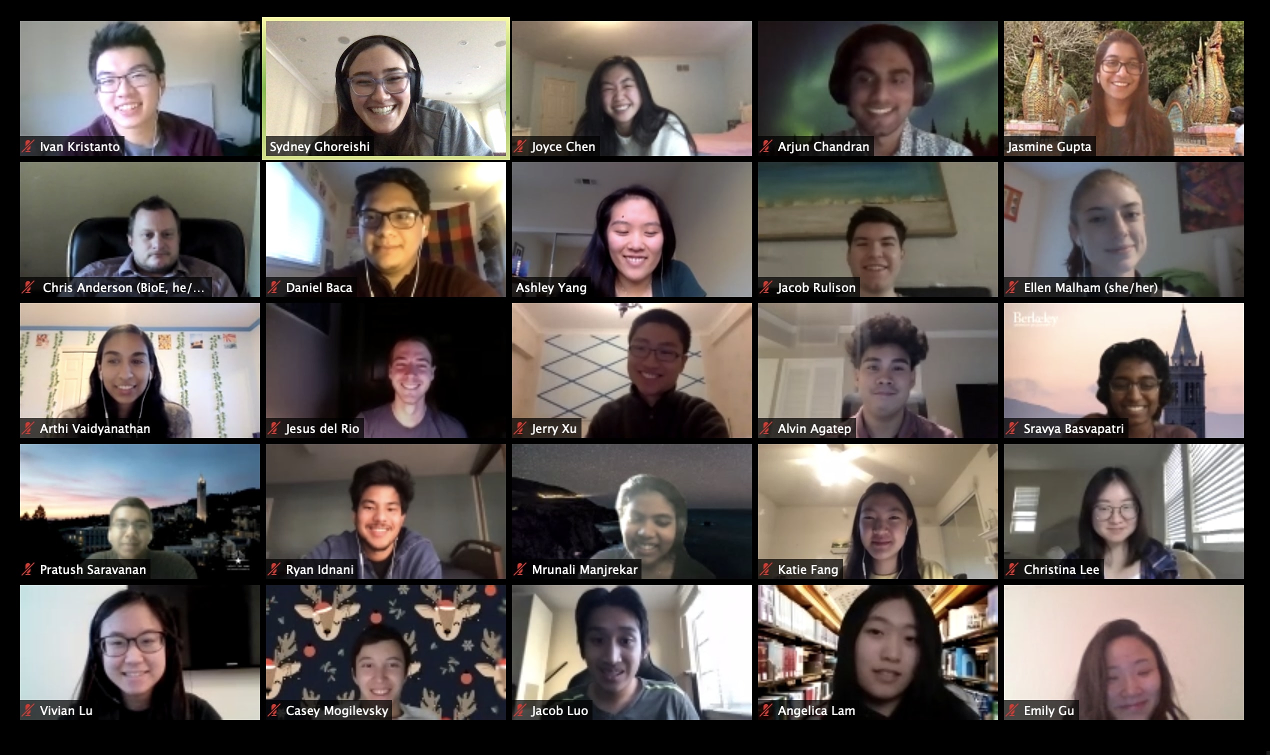 Past Projects | iGEM at Berkeley: An Open Biohacker Space