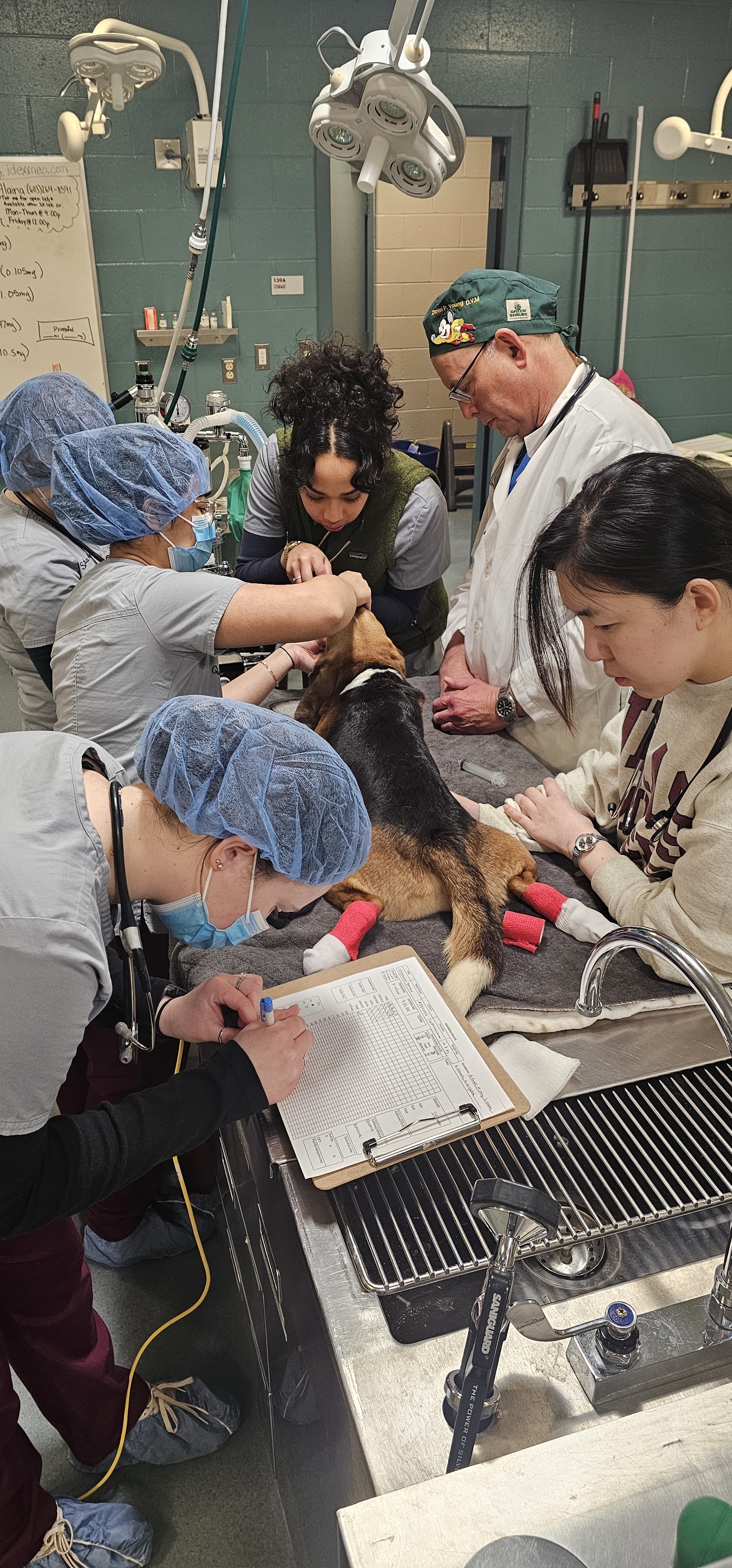 UMass Amherst Foundation | The Community Veterinary Clinic