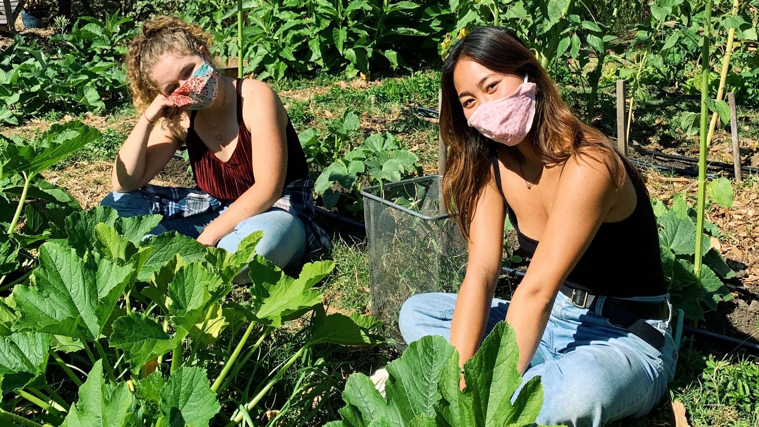 Giving Opportunities at Berkeley | Rausser College Summer Internship Grants