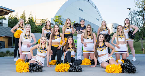 Past Projects | Vandal Spirit Support Your Sideline