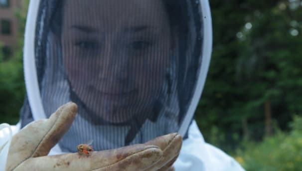 Western Washington University | WWU Outback Farm Bee Apiary