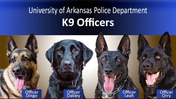 University of Arkansas | UAPD: K9s Test Project