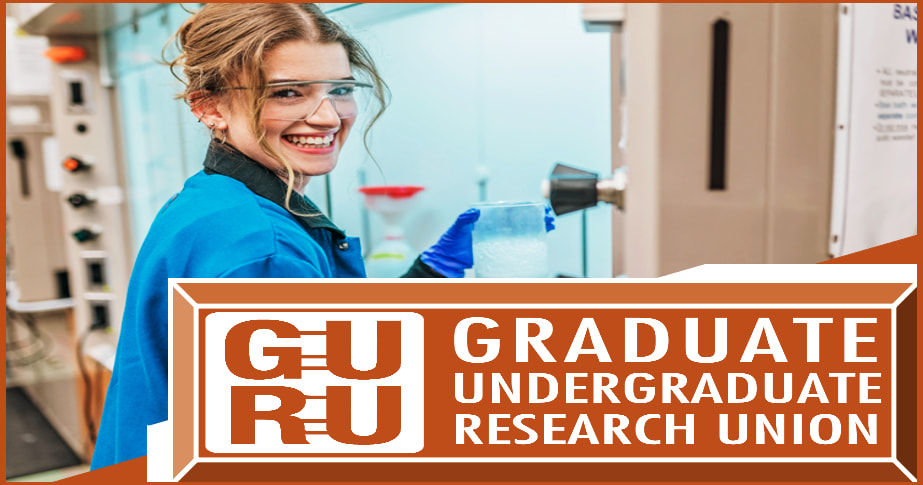 Funded | Support Undergraduate Research in Biomedical Engineering