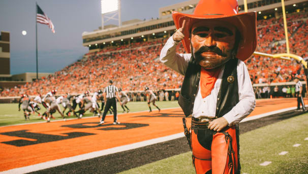 Top Past Projects | Fall 2022 - Support for the Spirit Squads of ...