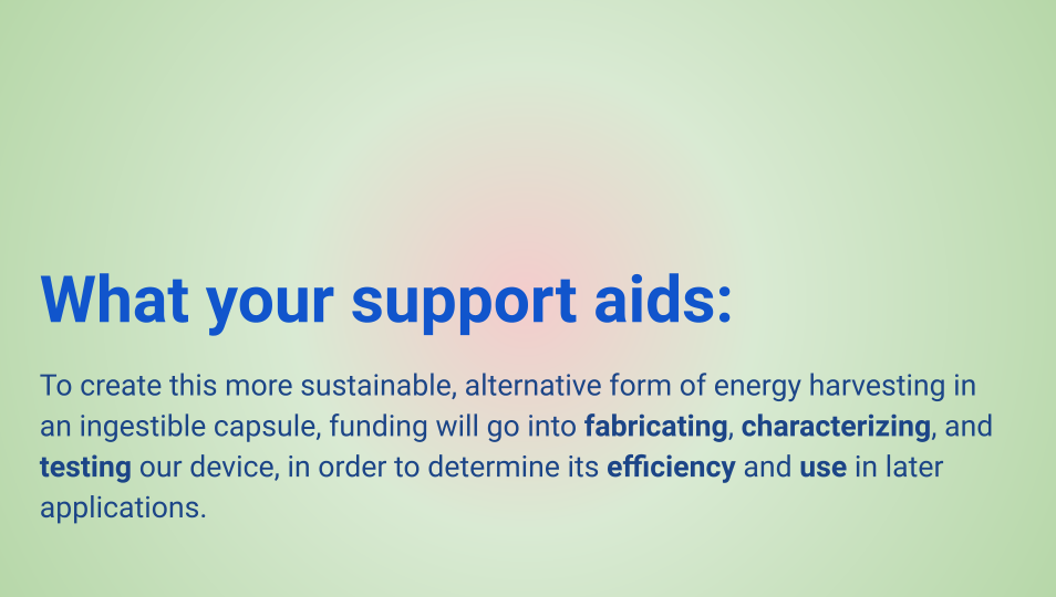 Giving Tuesday Student Challenge 2024 | Team HEMD