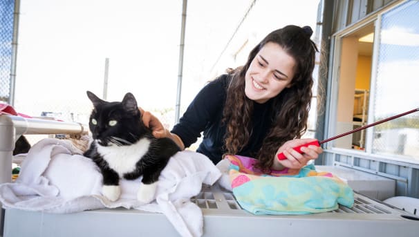 Cal Poly | Cal Poly Cat Program