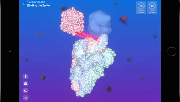 HornRaiser | Protein Puzzles App