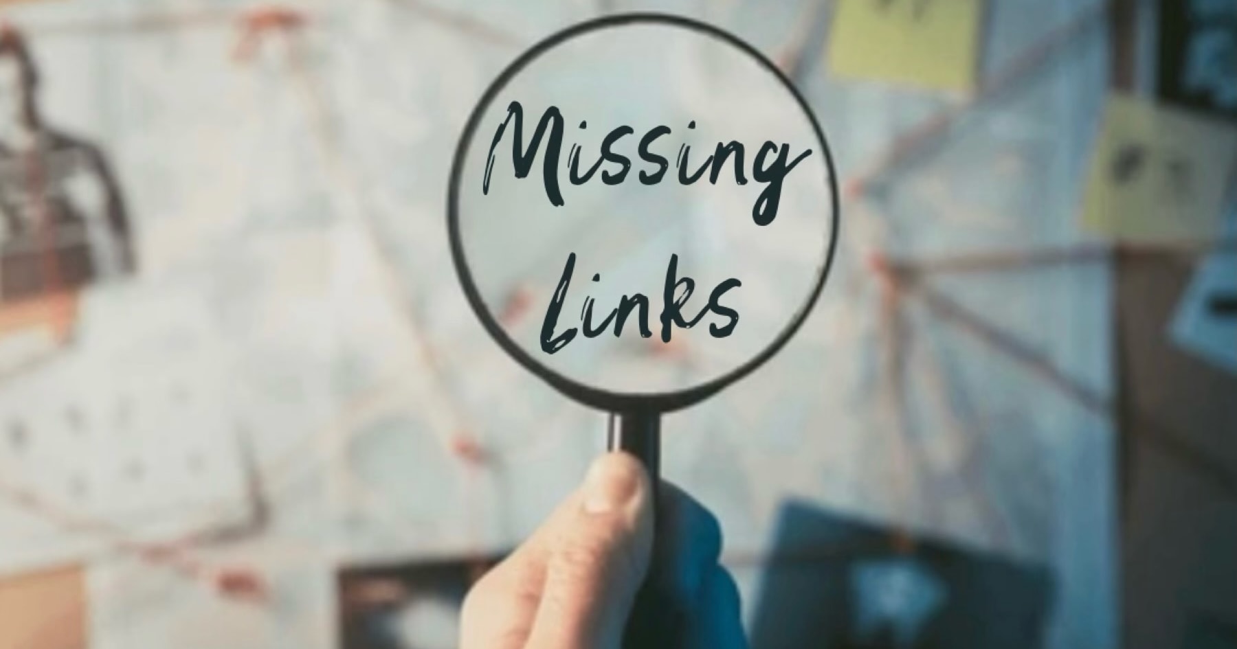 Past Projects | Missing Links